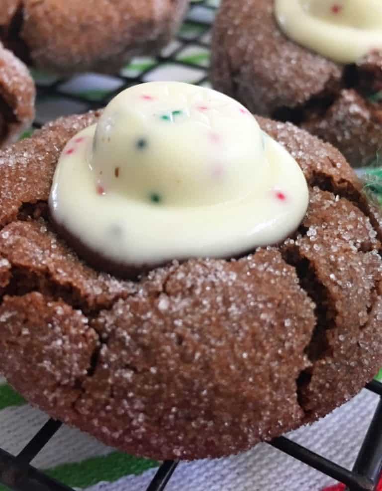 Chocolate Peppermint Blossoms - A Holiday Recipe Favorite!